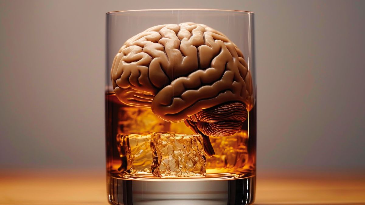 Gehirnschädigung durch Alkohol